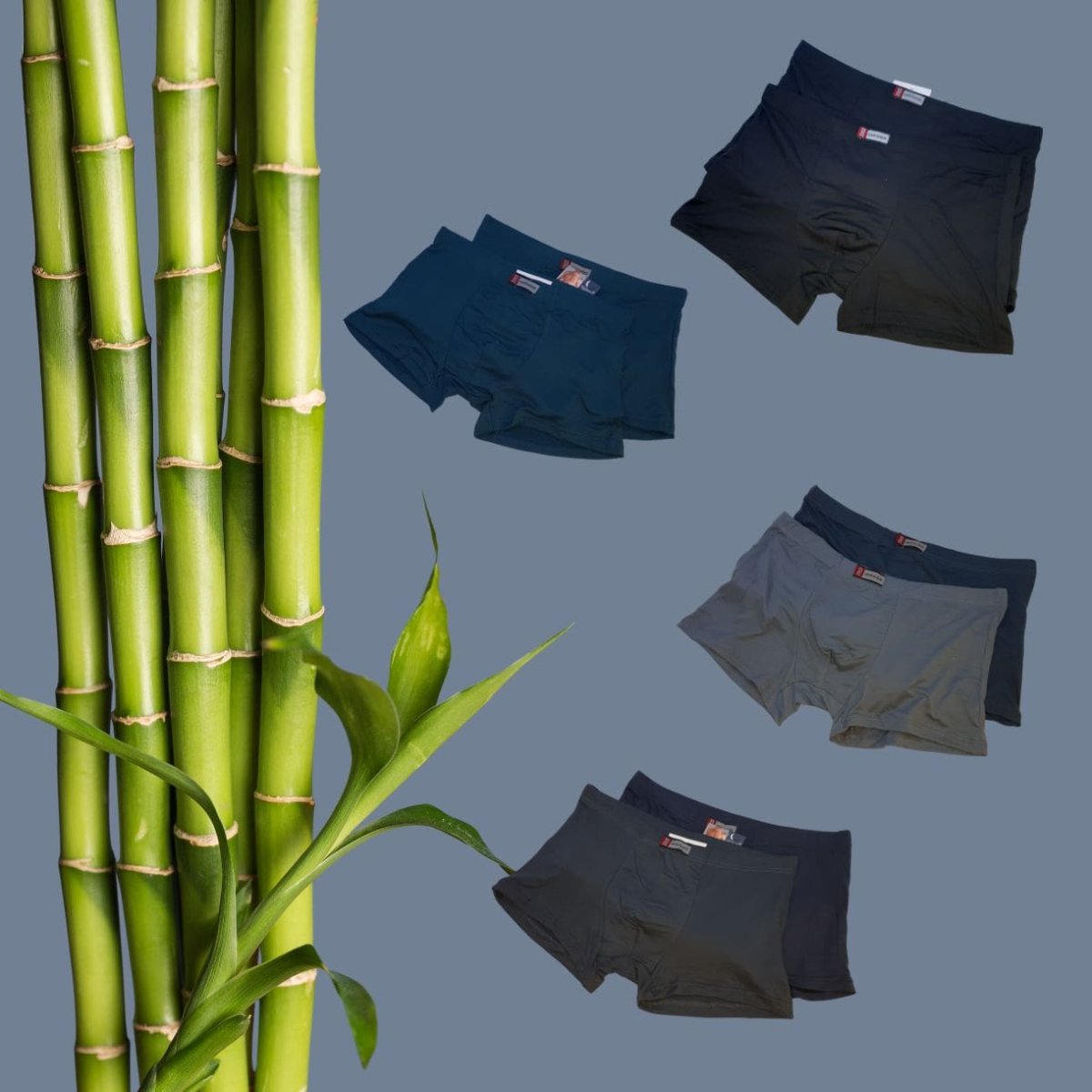 Herre Bambus Boxers - 2 pak - Sokker-Boxers - Brushh